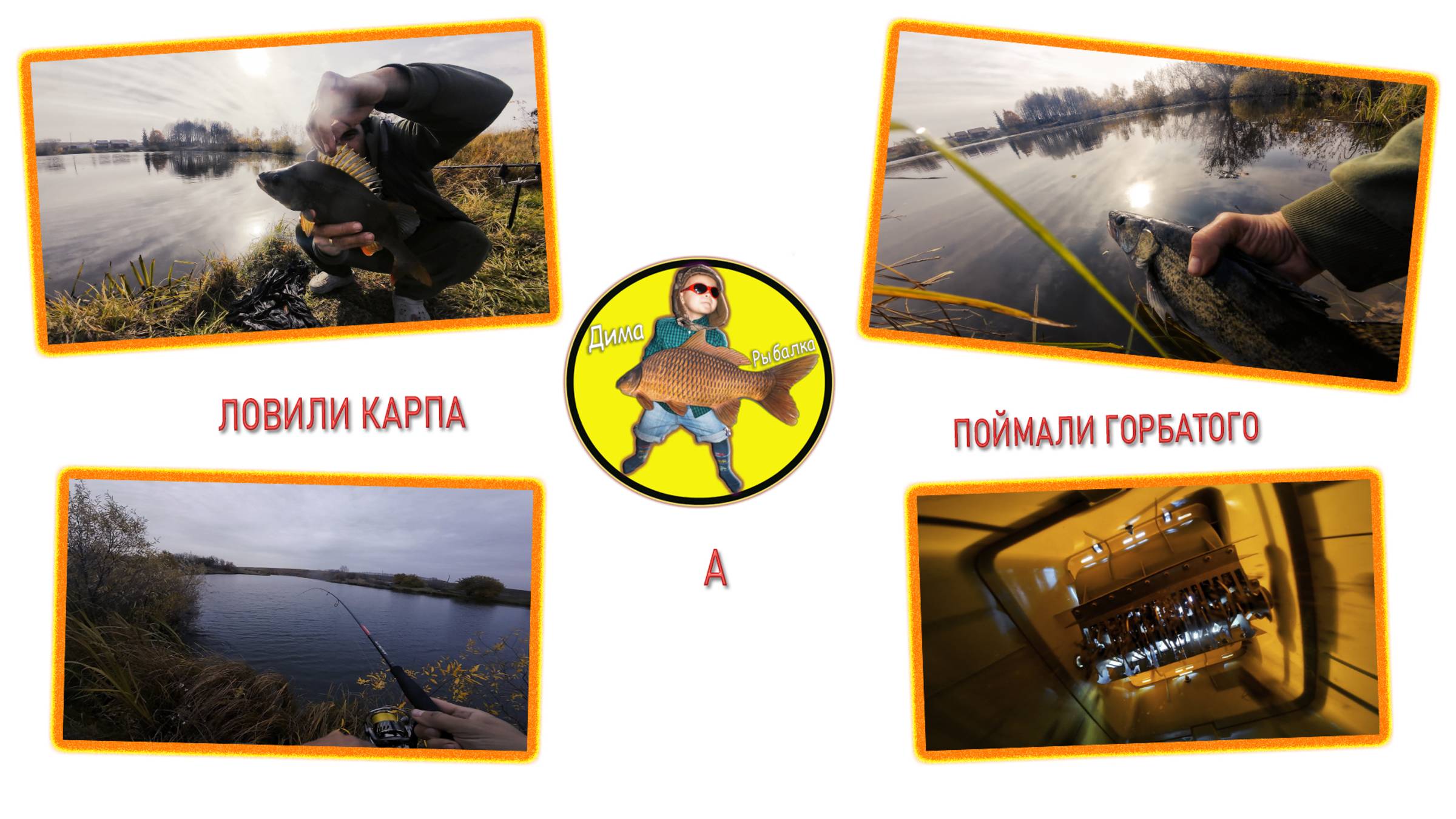 Ловили карпа, а поймали горбатого