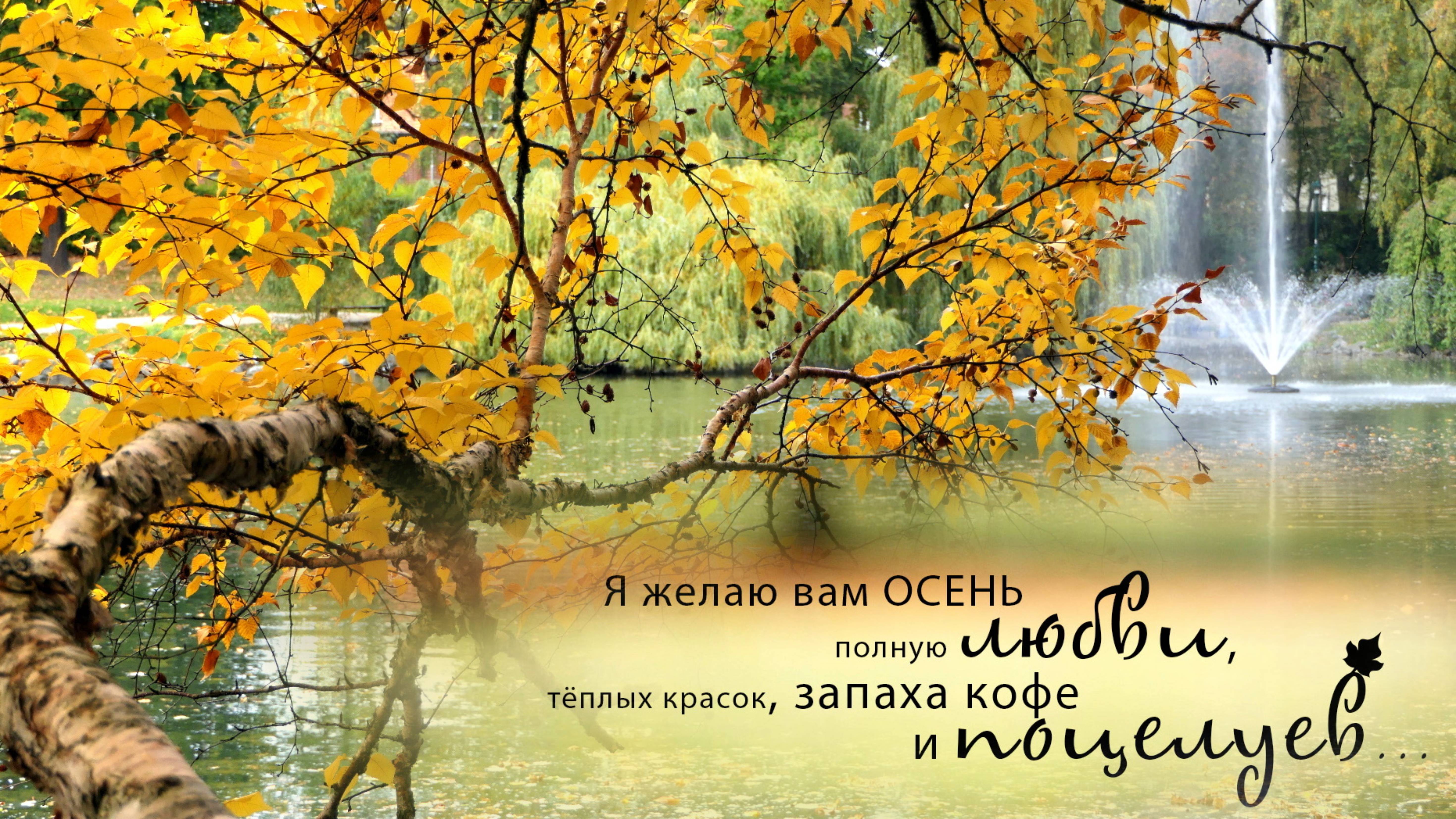 🎵🎤 Прогулка по🎸"Осени" 🍁🍂муз. С.Егоров сл. Невероятно красивая и вдохновляющая песня для души.
