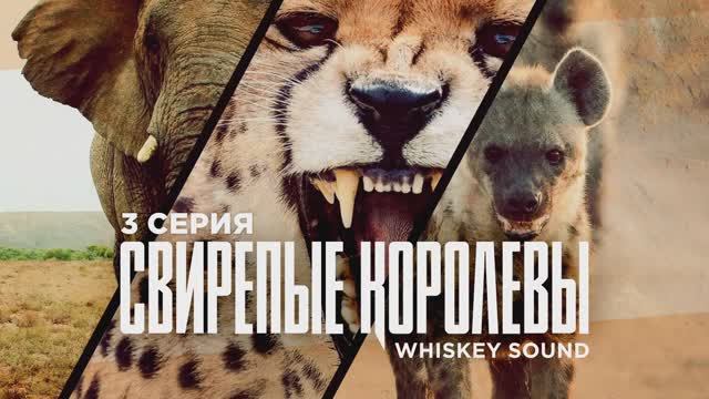 Свирепые королевы (3 серия) | Fierce Queens | Дубляж Whiskey Sound