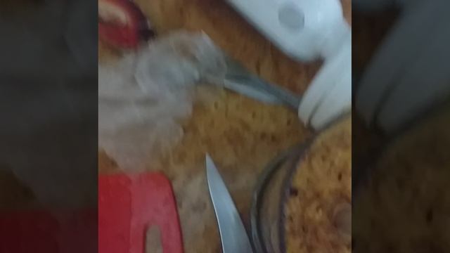 растительная и мясная пища