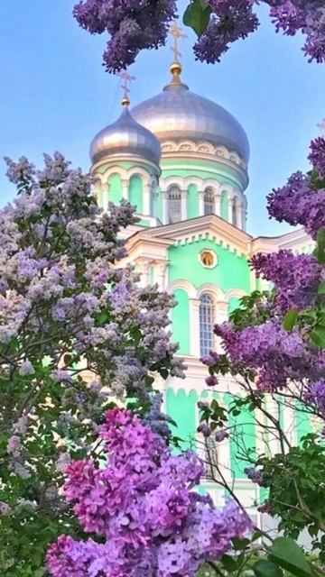 Душевный лекарь#Церковь#shortvideo#shorts#Молитва#Православие