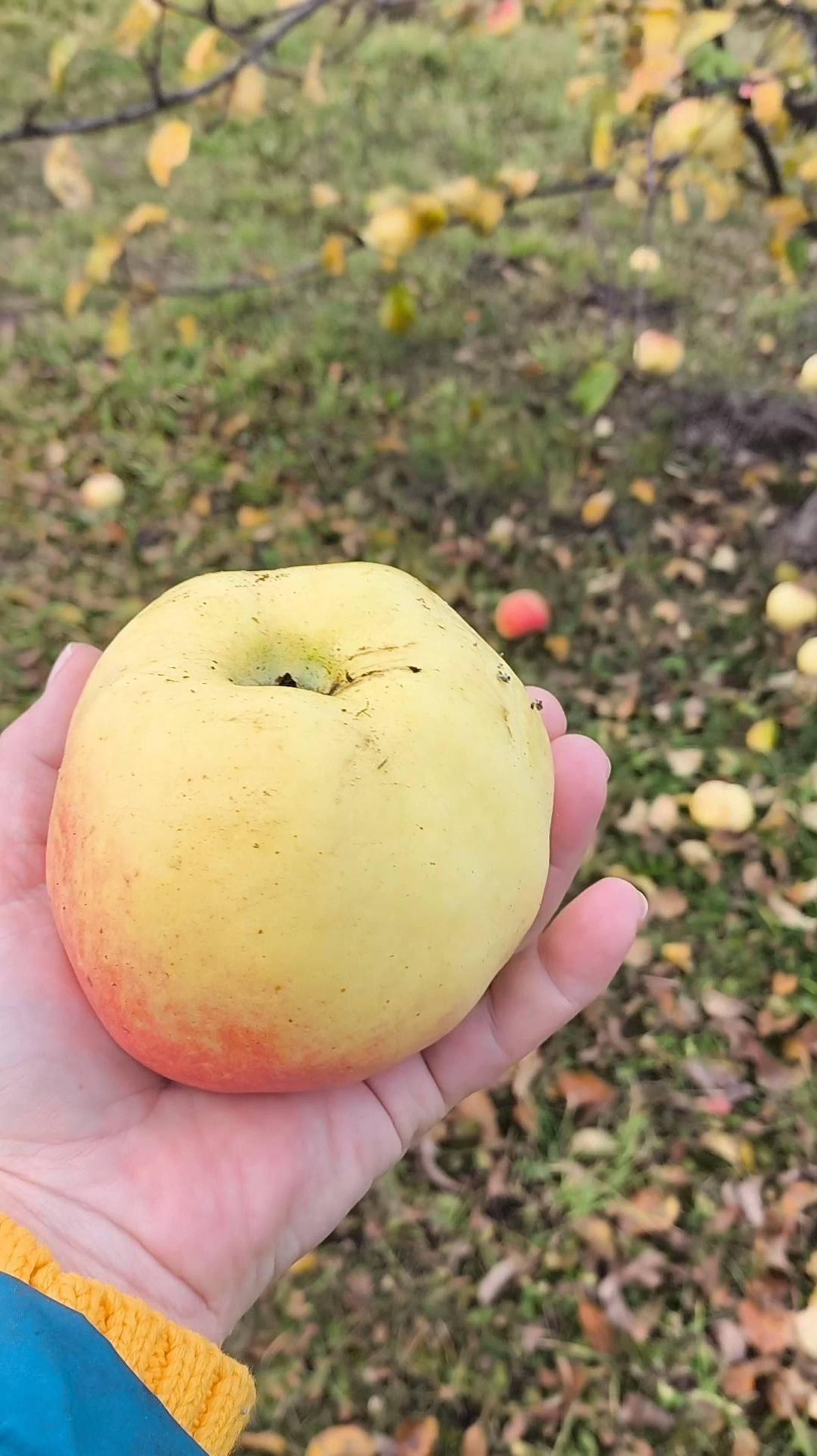 #Shorts Природа на измене#садиогород