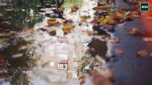 Цвета осени | О Москве с любовью