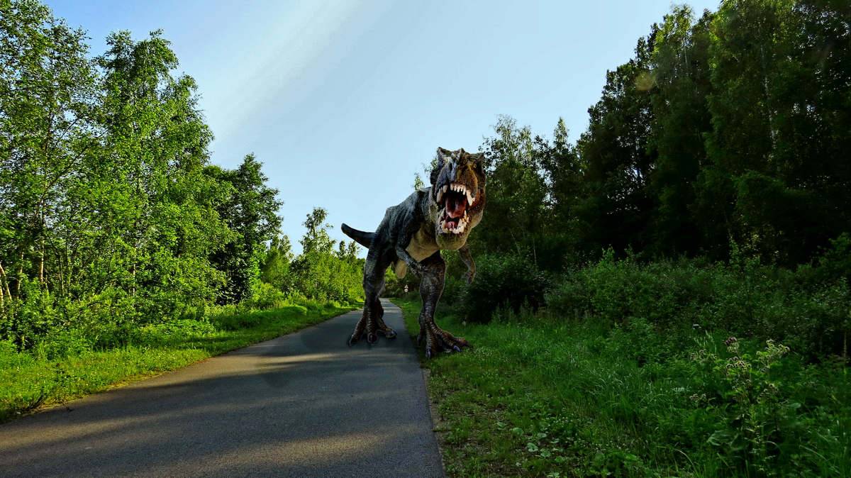 На велосипеде