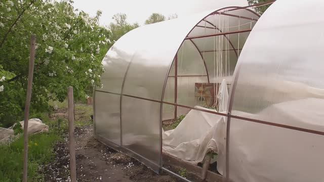 Смена поликарбоната на теплице