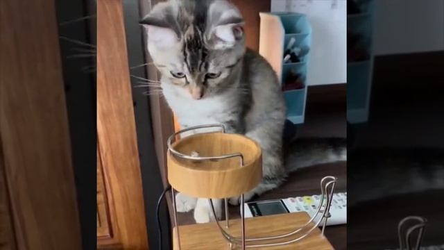 Говорят он до сих пор там сидит