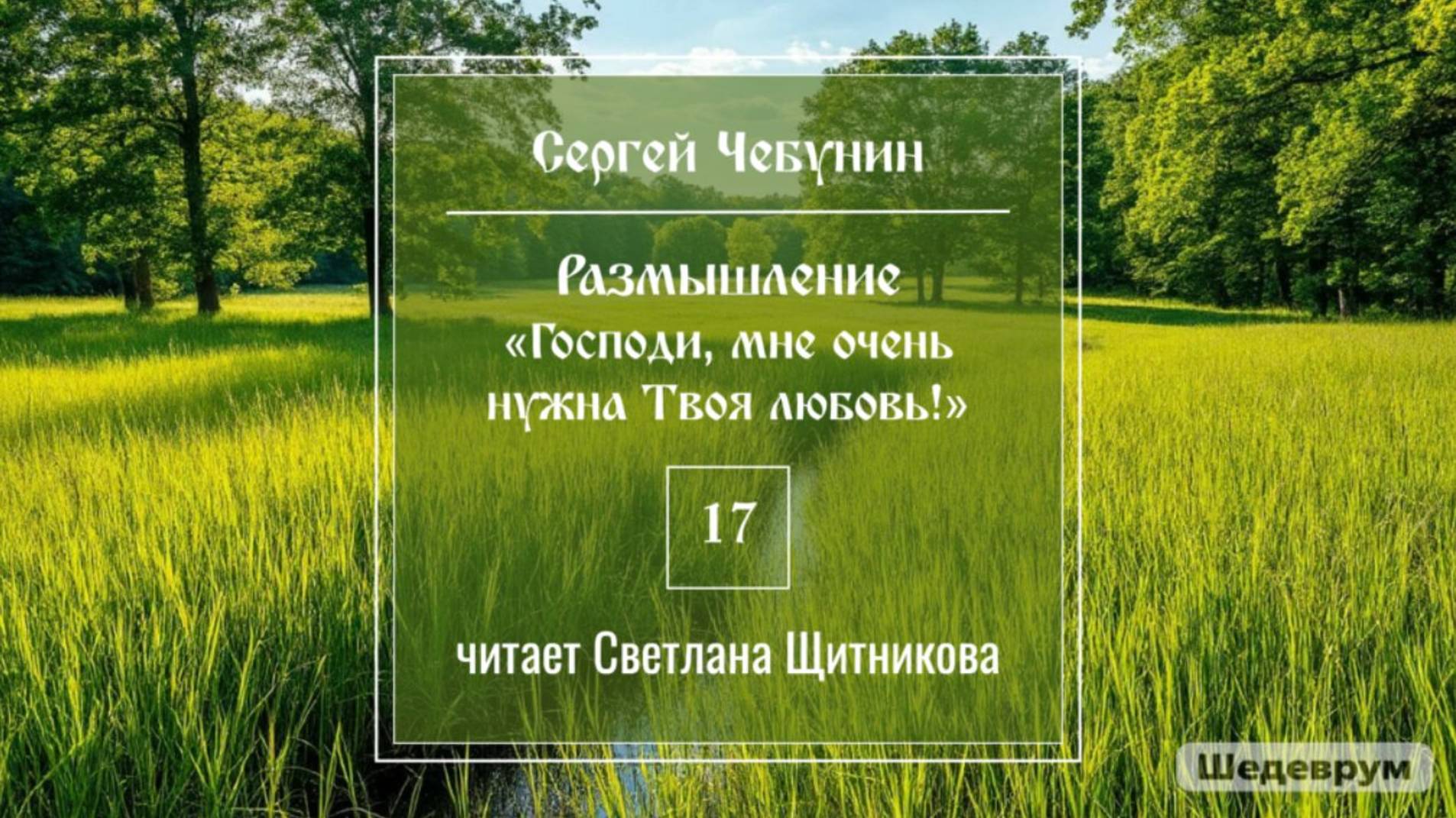 Размышление 17 (автор Сергей Чебунин, читает Светлана Щитникова)