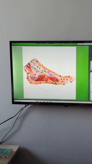 Отзыв о Зеркалах Козырева