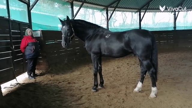 Встреча в кск Дерби с жер.Багдадом HD.mp4