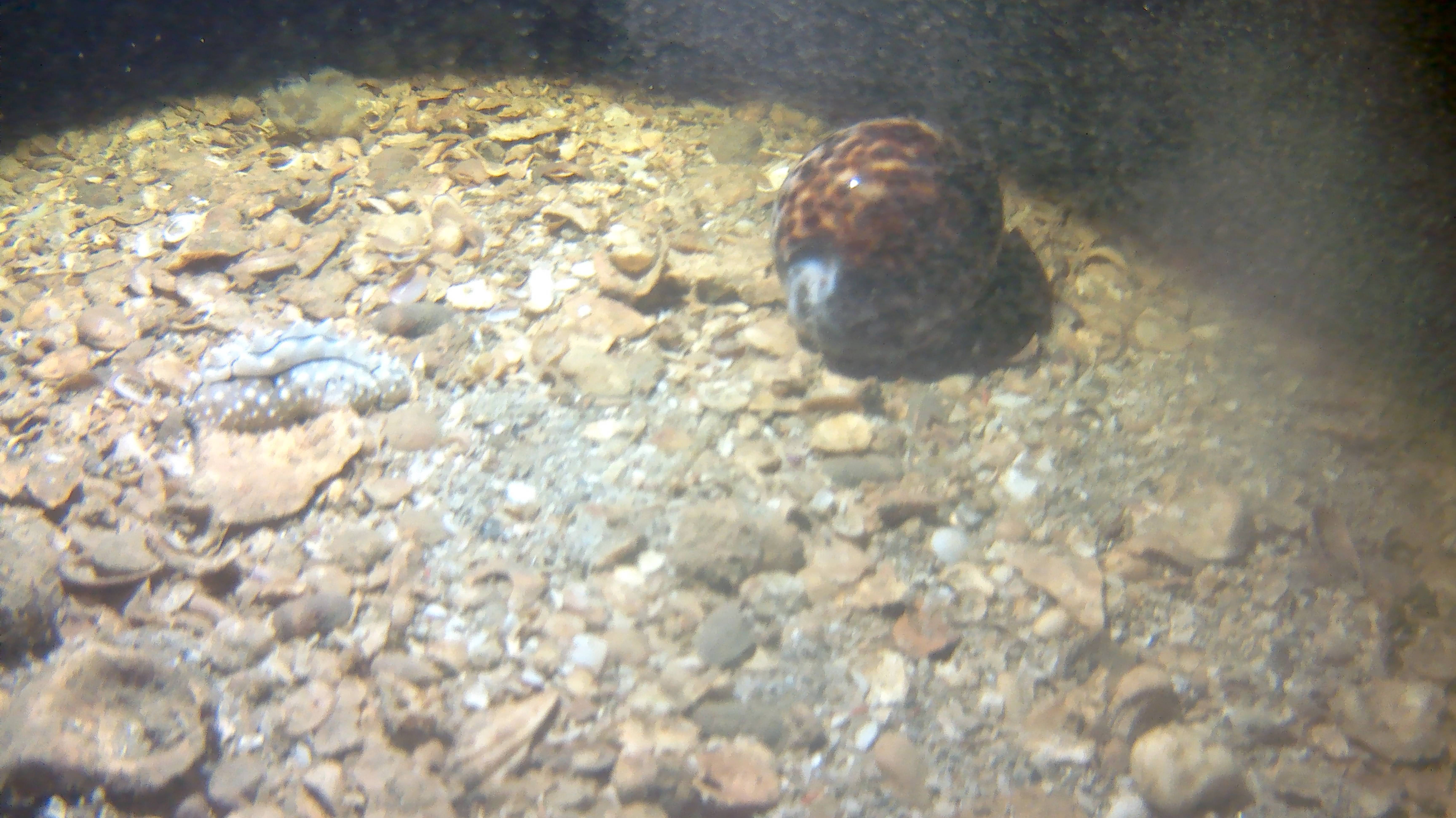 дайвинг на Пхукете, дайвинг в Таиланде cave diving 2023