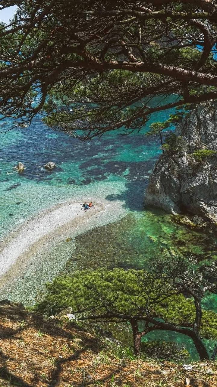 Зачем мне чужие края