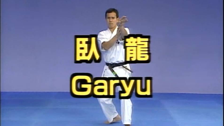Гарю - Ката Карате Кёкусинкай (Garyu - 臥竜)v.2