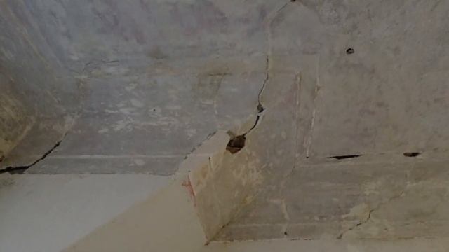 д .9-10  Протечка. Цементная штукатурка и еще раз про сменные лезвия. Расчистка потолка с лепниной.