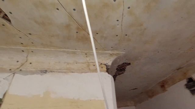 д 37 Первое грунтование. Tiefgrund LKF Alligator грунт глубокого проникновения ( ГГП ).