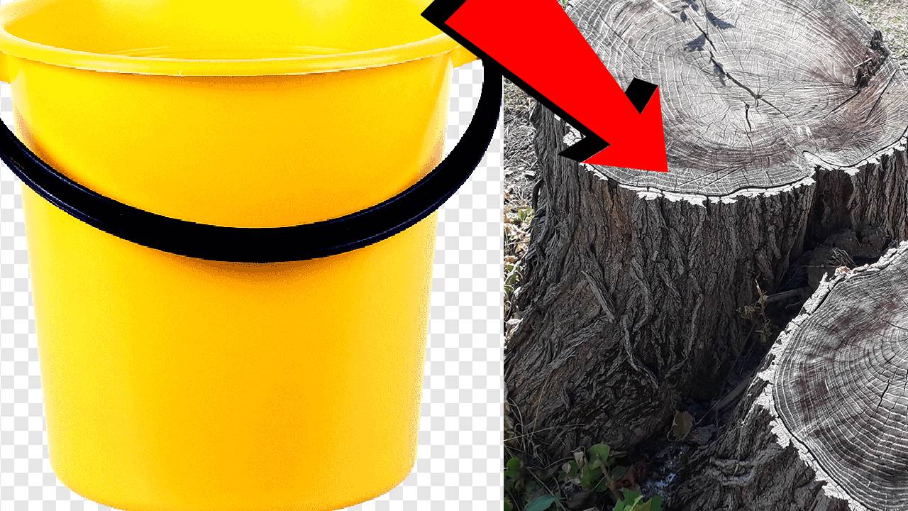 Как избавиться от пня За 3 Секунды..!!!!!!!...