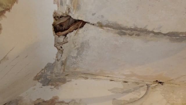 д. 12 Рутина, гроза и разноцветная комната. Старый фонд. Реставрация и ремонт потолка с  лепниной.