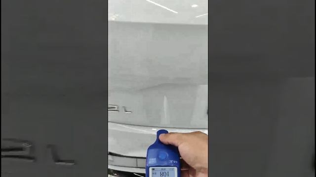 Audi Q2L 35TFSI 2021 краска