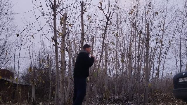 Бокс. Утренняя Зарядка. Стиль Исаева Н. П.