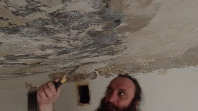 д 16-19 Еще рутина и немного потолочного АСМР. Реставрация и ремонт потолка с лепниной.