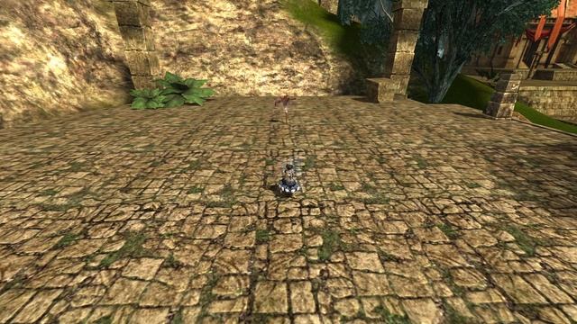 Облик Рыцаря королевы – Морра (дальний бой)