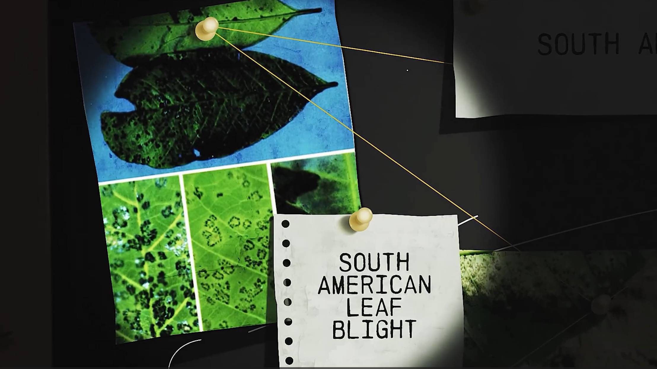 Это стихийное бедствие, о котором стоит беспокоиться