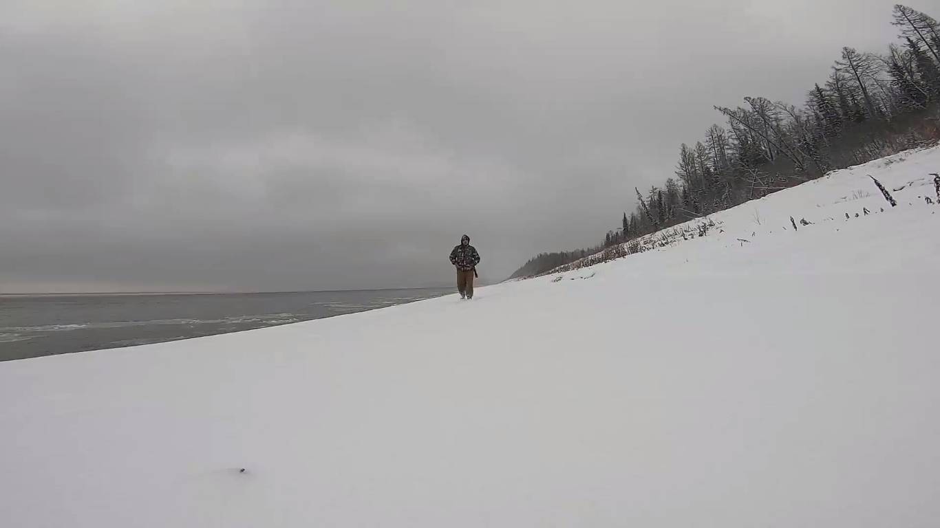 Прогулка по уже зимнему лесу...