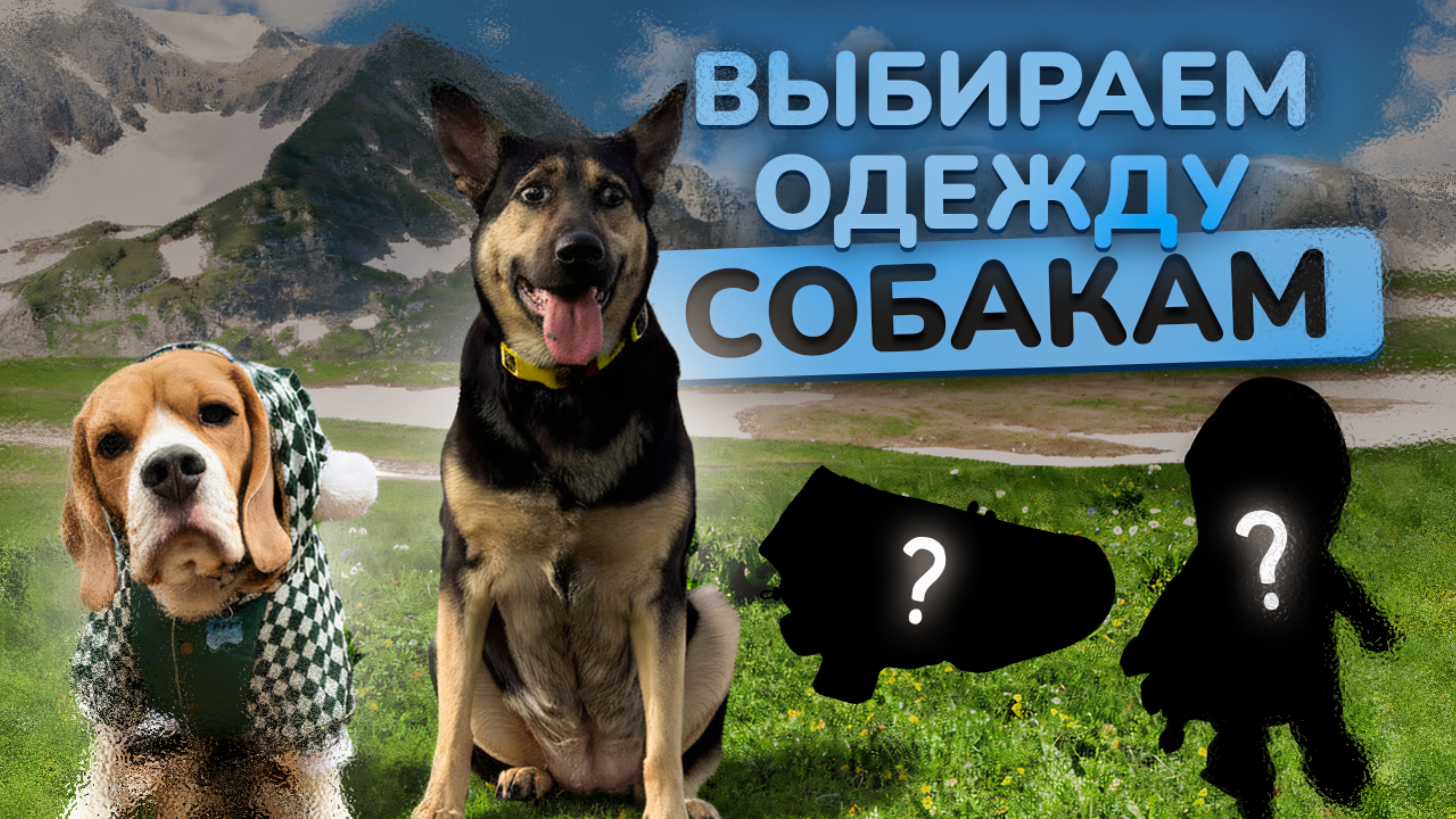 Распаковка одежды для собак| Подбираем Лилу одежду