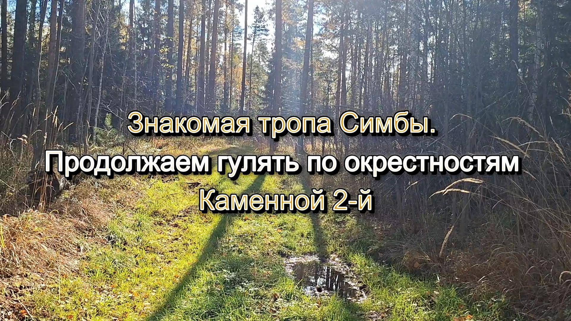 Знакомая тропа Симбы. Продолжаем гулять по окрестностям Каменной 2-й