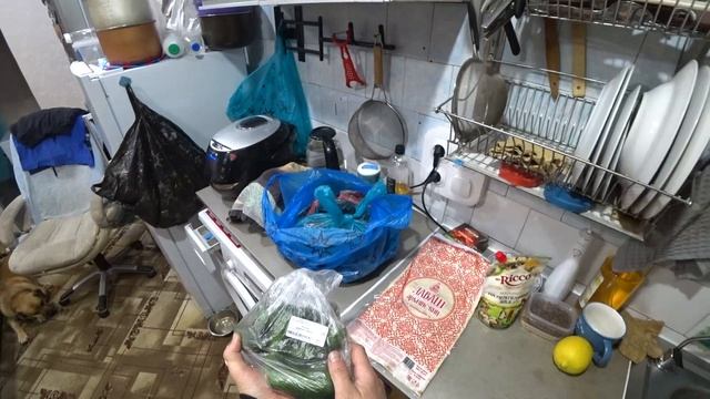 Купил поесть себе и Пэксу