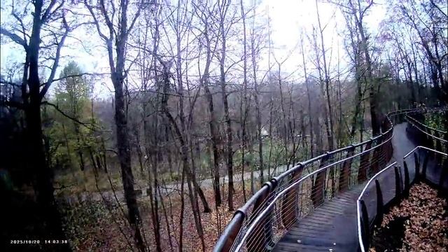 Воздушная  экологическая тропа на ВДНХ осенью