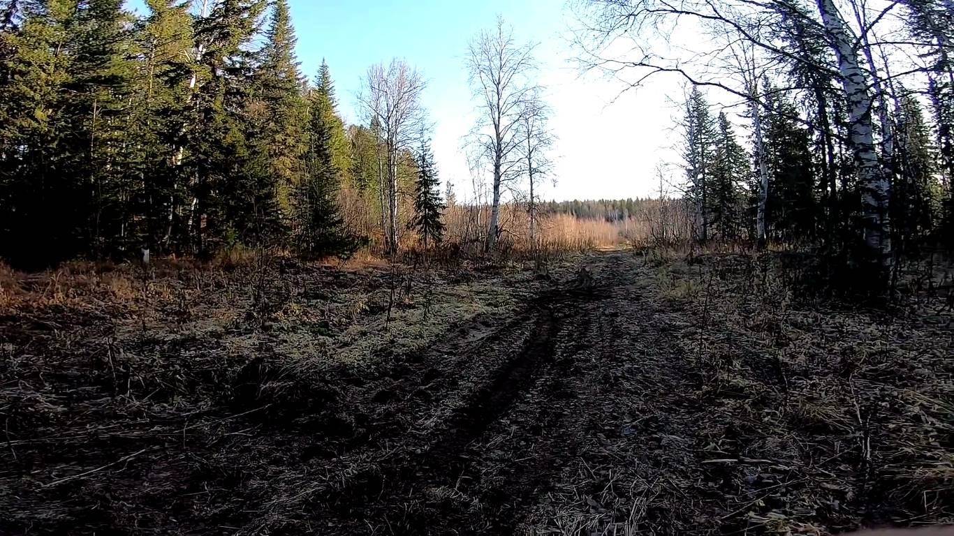 На  охоту Друзья. Человек всегда был охотником...