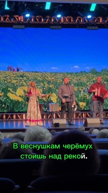 Песня для души и ностальгии – поёт весь зал! Ансамбль ПТАШИЦА, Деревня моя