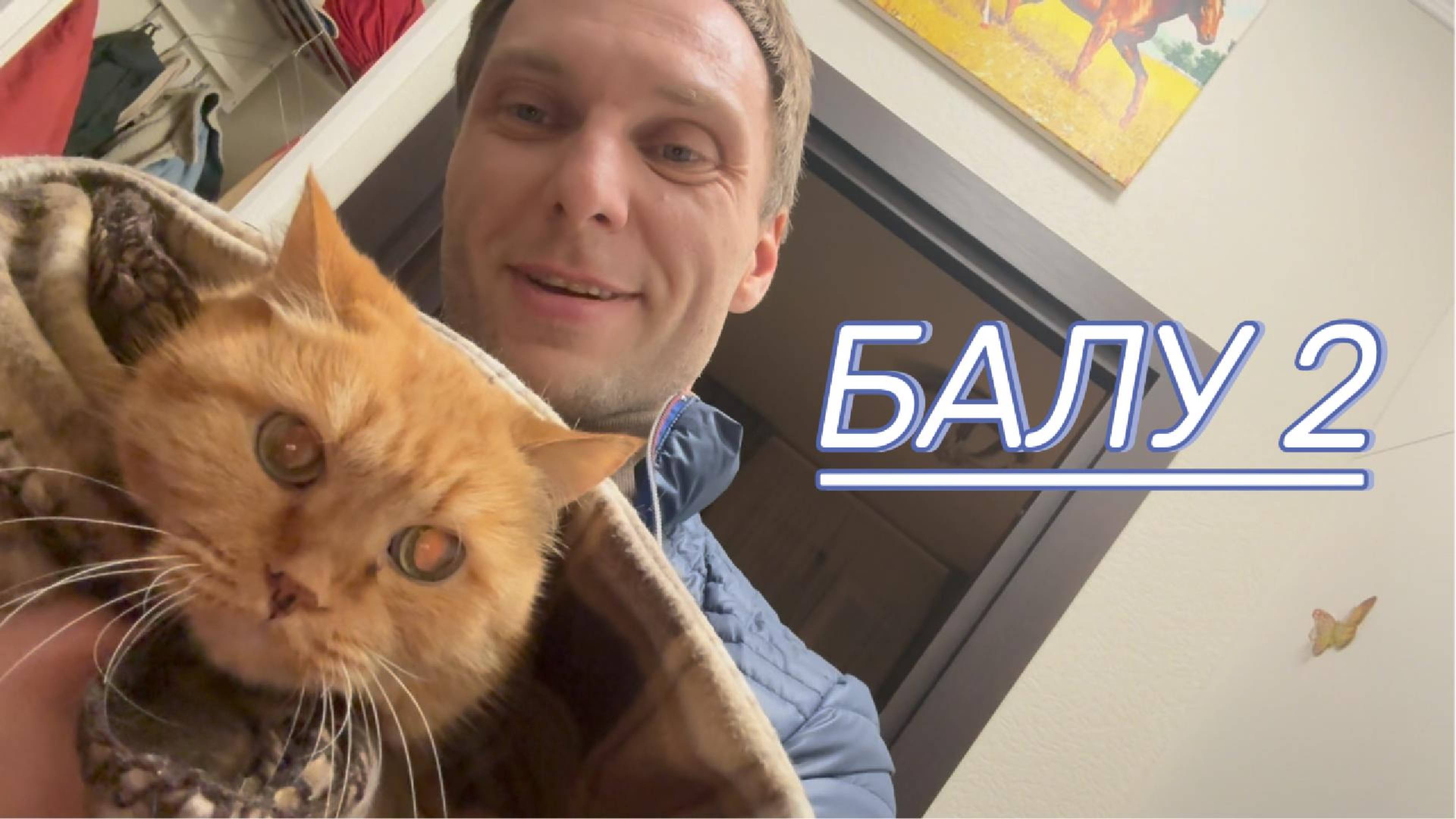 Балу 2 #Я #Вихрицкий #Блогер #коуч #артист #питер кошка #ветеринар #мир #счастье #любовь #спб #мы