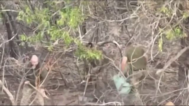 Зигзаги фронтовой ленточки... 21 10 25