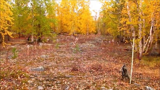 Золотой запас России.