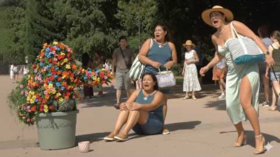 Top 10 Funniest Bushman Reactions EVER _ You Won’t Believe