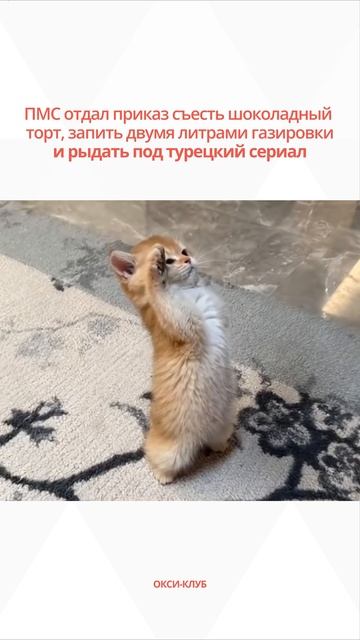 ПМС отдал приказ...