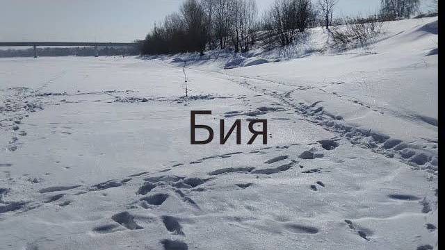 трудовая рыбалка на реке Бия