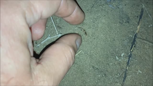 поиск металлоискателем! нашёл золото на старом пляже!