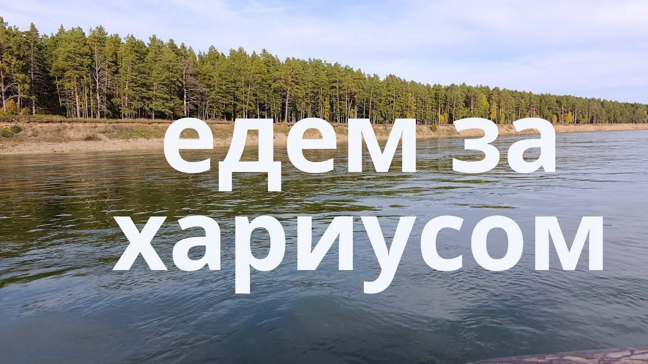 съездили за хариусом