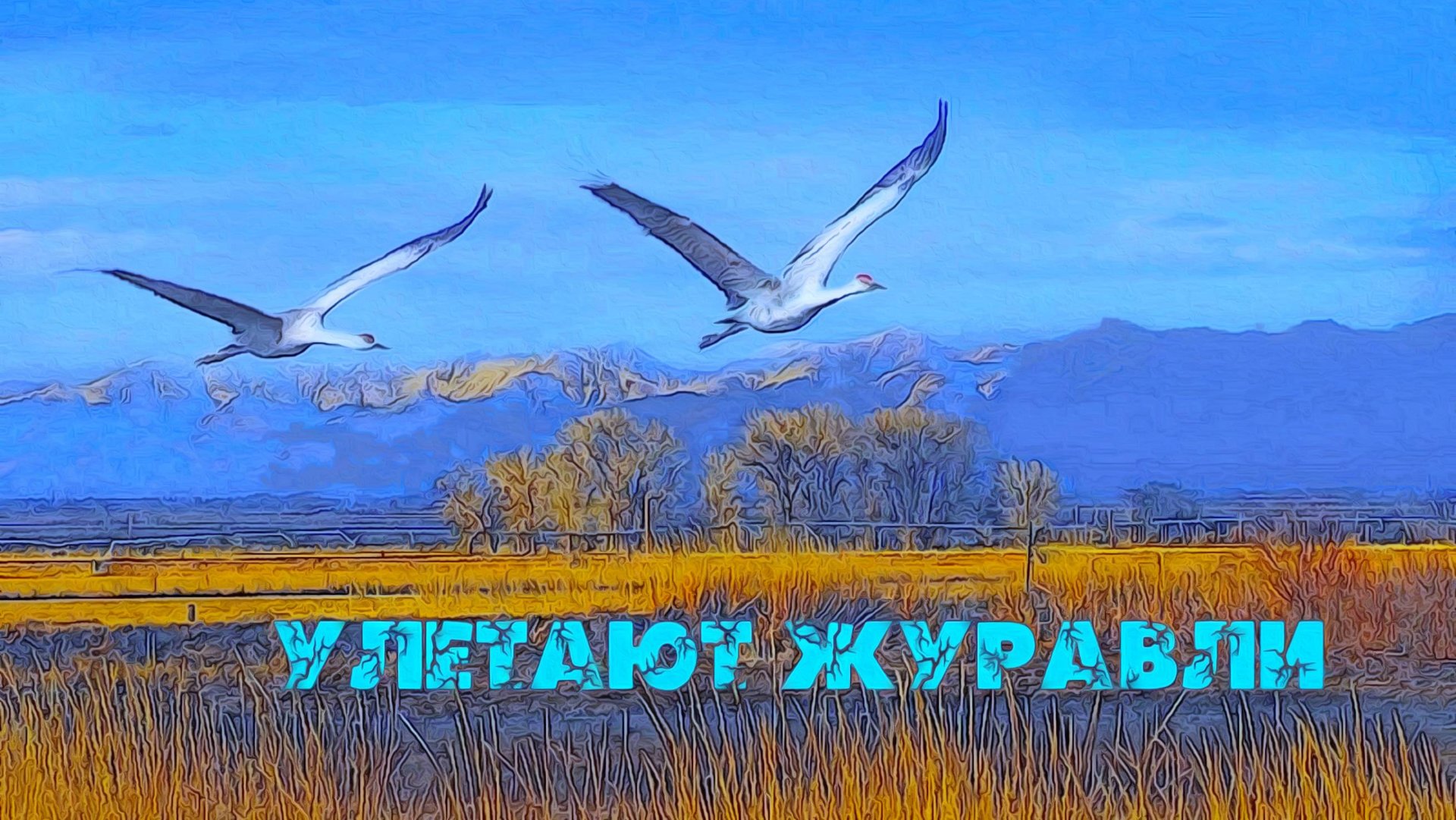 Улетают журавли...