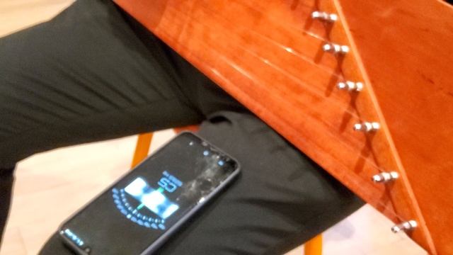 2025.09.25. Настройка гуслей.