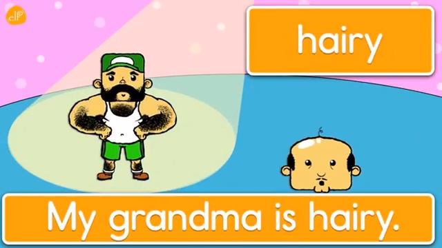 Learn_Opposites_Phrases_and_Patterns