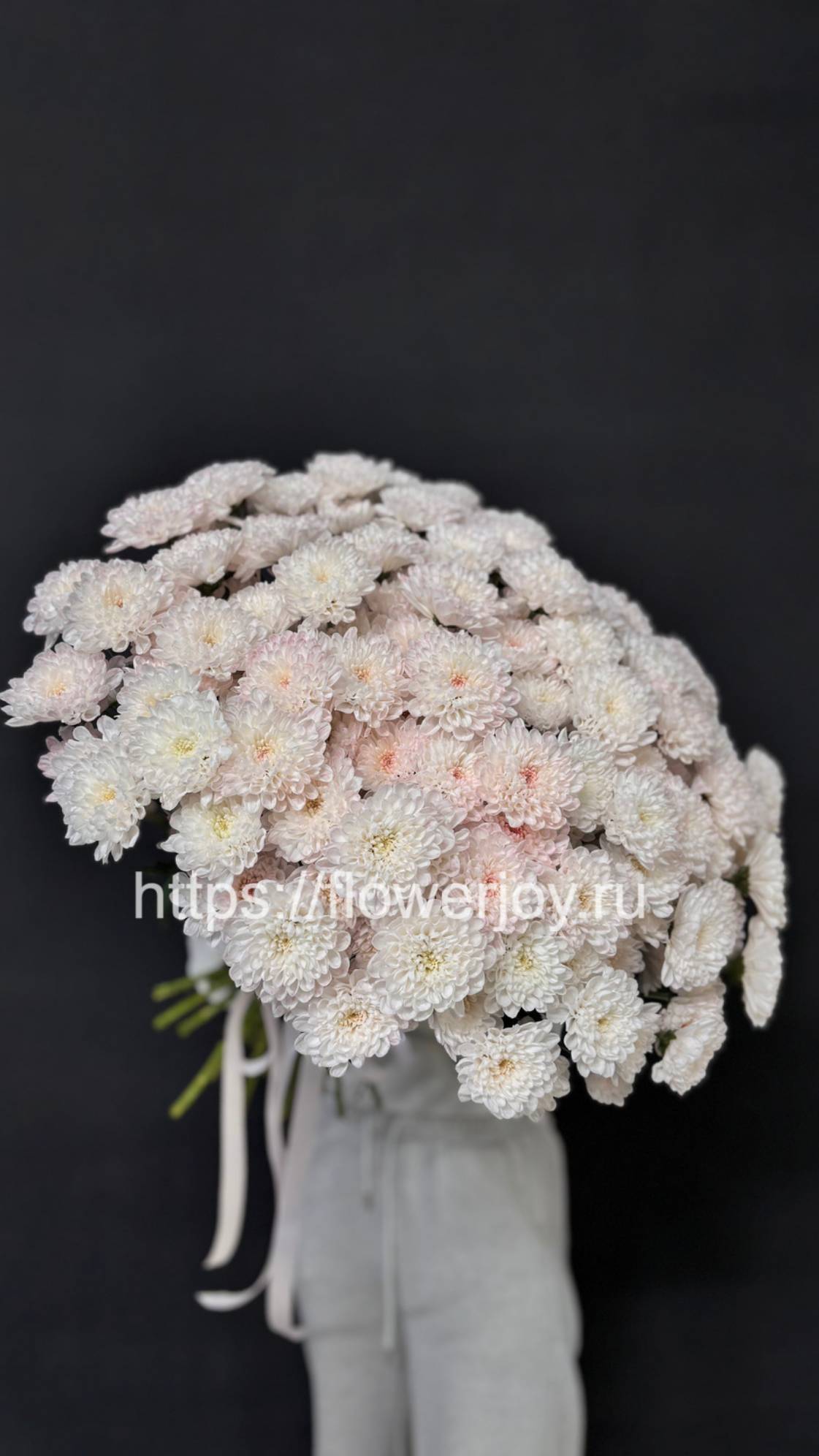 Букет из нежно-розовой хризантемы, 15 шт. / арт. 3529