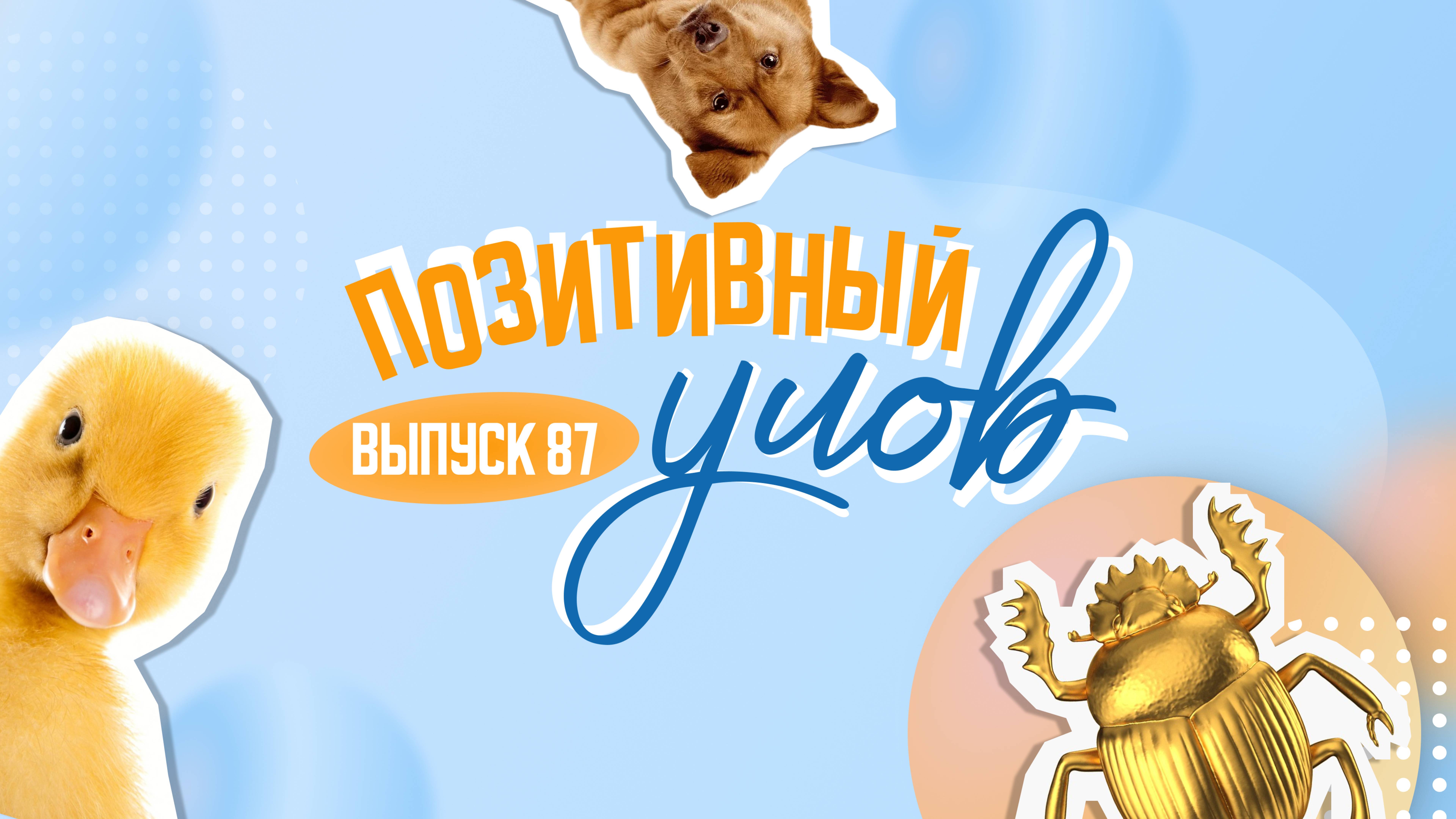 Квартира фараона в Санкт-Петербурге и борьба с шумными соседями. "Позитивный улов"