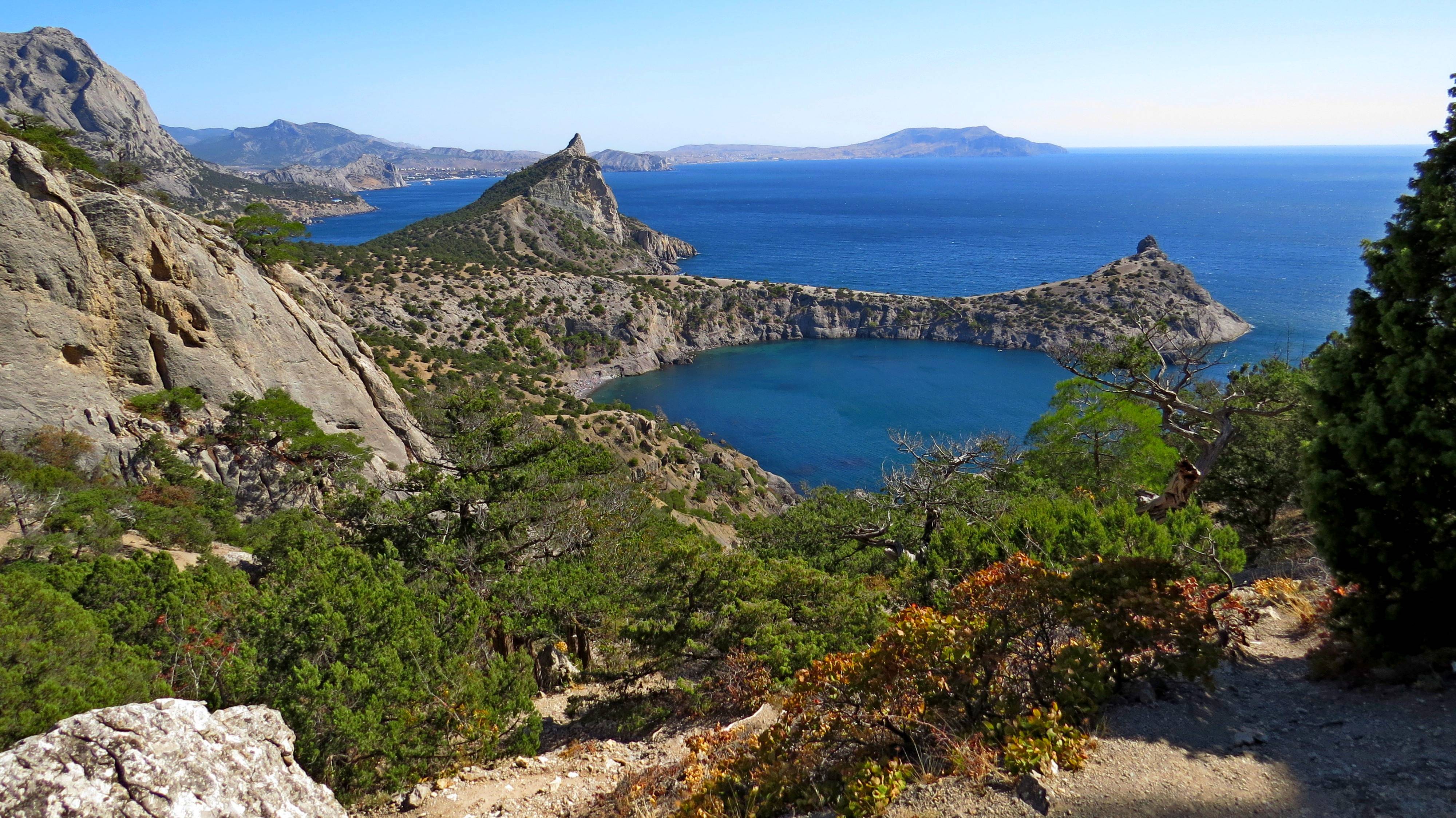 Удивительный Новый Свет!