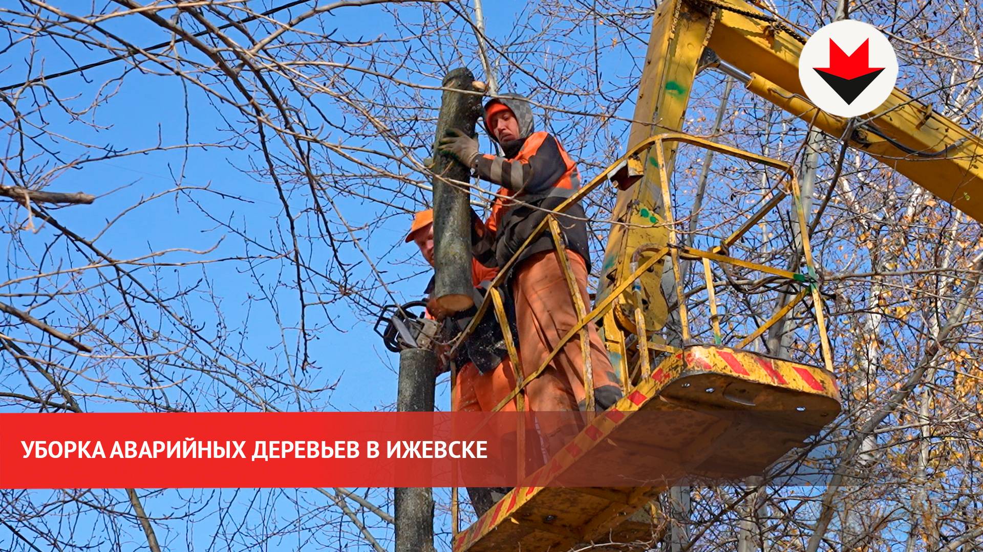 Уборка аварийных деревьев в Ижевске