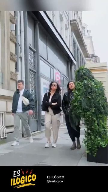 Живое дерево.