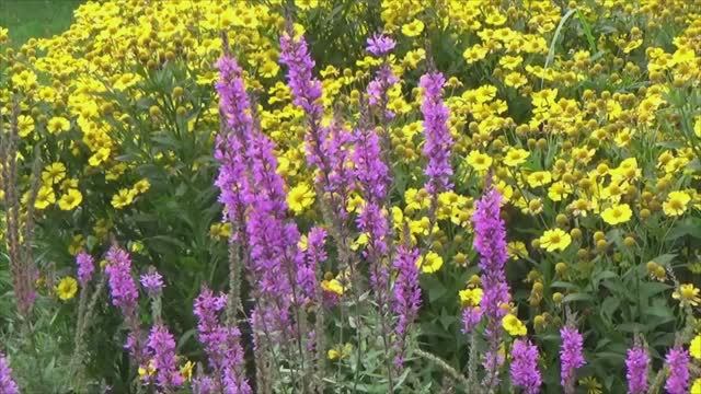 Время осени. Сергей Чекалин. Autumn Time. Sergey Chekalin.
