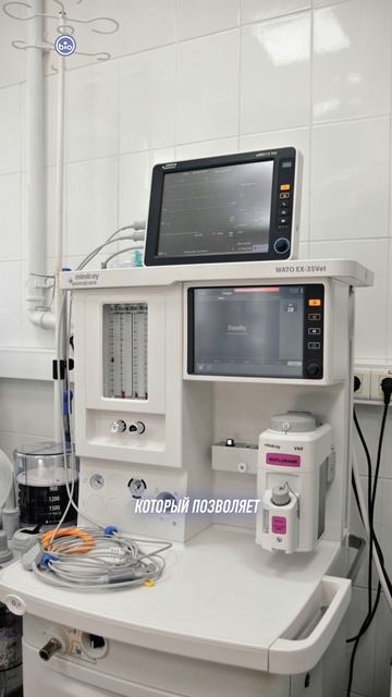 Газовый наркоз